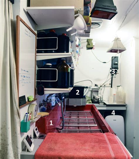 Darkroom Tony Egan View Camera Australia