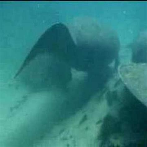 Don Mccumber Youtube