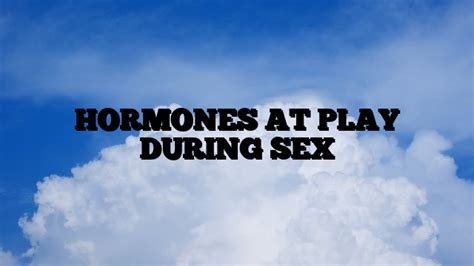 Hormones At Play During Sex Austin Tommy