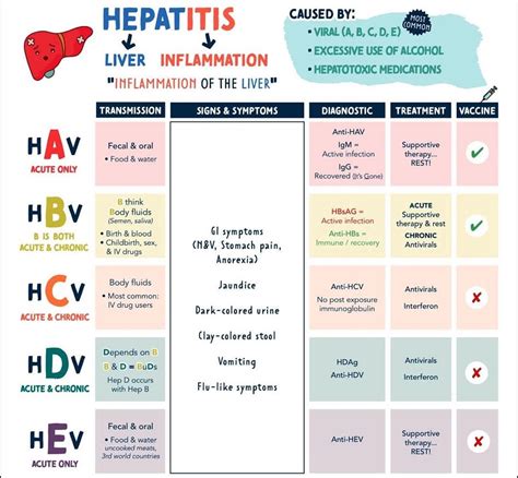 Dr Hepatitis Refers To Inflammation Of The Liver Often Caused By
