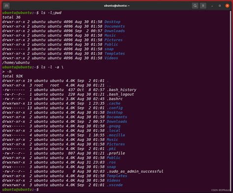 16 Linux命令行使用强制中断命令运行 Csdn博客