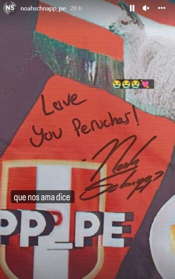 Noah Schnapp Hizo Consulta Sobre El Chullo A Fan Que Lo Sorprendió Con Gigantografía De Su