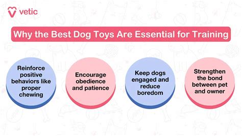 Thyroid In Dogs Canine Hypothyroidism Signs And Treatment