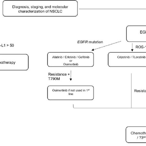 Treatment Algorithm For Advanced Nsclc Download Scientific Diagram