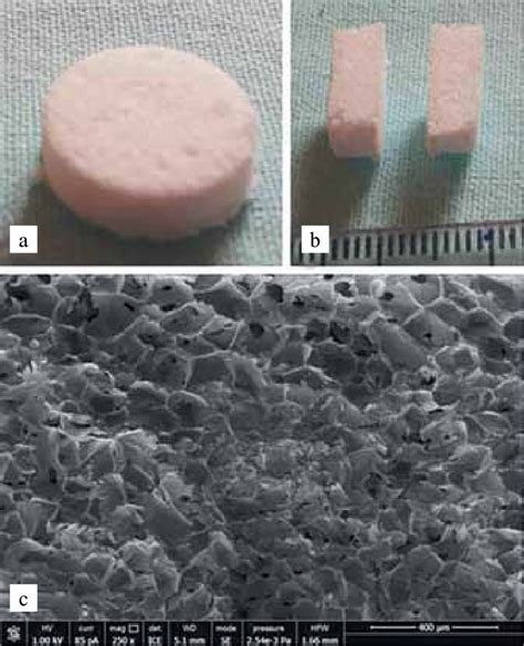 Appearance And Electron Microscopy Of The PLA PCL Sample A Appearance Download Scientific