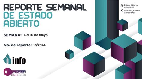 Reporte Semanal 162024 Derecho A La Verdad De Madres Buscadoras