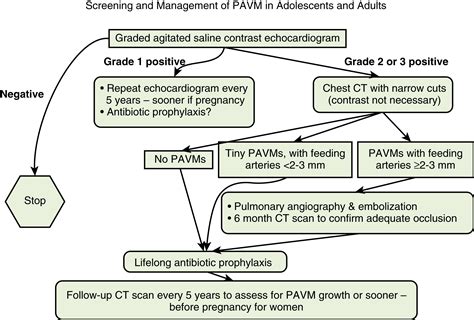 Pulmonary Arteriovenous Malformations Diagnosis And Management