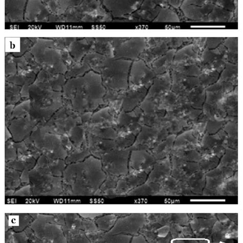 The Sem Graphs After Corrosion Test For A 250 Lm B 350 Lm And C