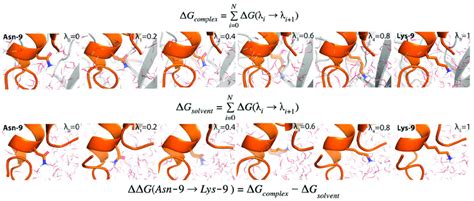 Fep Calculation Of The Relative Binding Free Energy Due To A Mutation Download Scientific