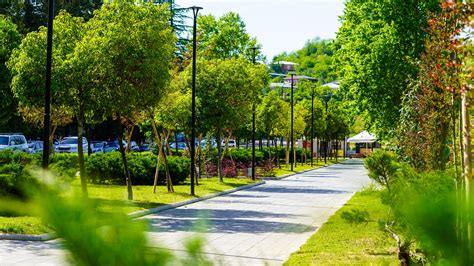 საქართველოს წყალტუბოში ცივი ტბის” რეაბილიტაცია დასრულდა 🟨პროექტის ფარგლებში რეაბილიტაცია