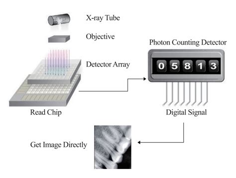 Supply Small Size Dental Radiography Digital Intraoral Sensor Wholesale