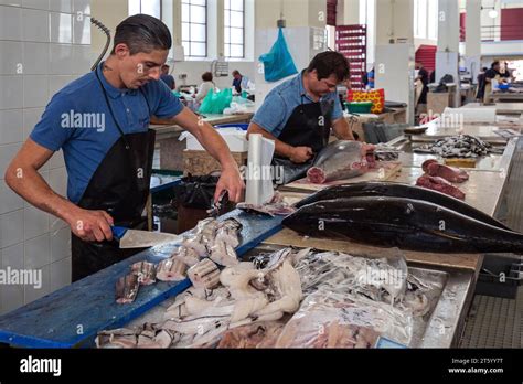 Black Scabbardfish Aphanopus Carbo Being Filleted Fish Hall Fish