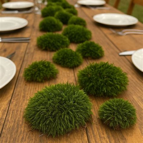 Buy Live And Preserved Moss For Events And Decor 3 Mosses And 1 Kit