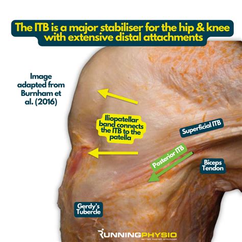 Why You Need A Tight Itb Runningphysio