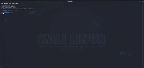 Network Analysis With Wireshark On Kali Linux Dataflair