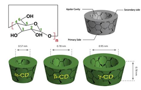 Cyclodextrins α Cyclodextrin β Cyclodextrin And γ Cyclodextrin