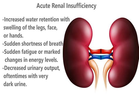 Acute Renal Insufficiency In India Baberahma