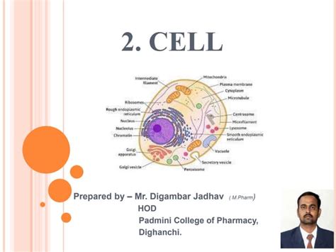 Cell Pptx Biological Sciences Science
