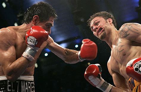 Powerful Boxing Punches 36 Pics