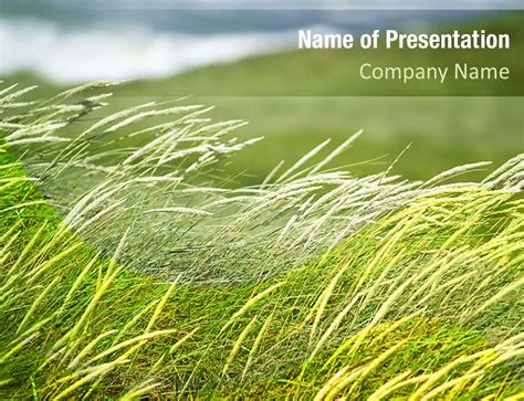 Grass Powerpoint Templates Grass Powerpoint Backgrounds Templates