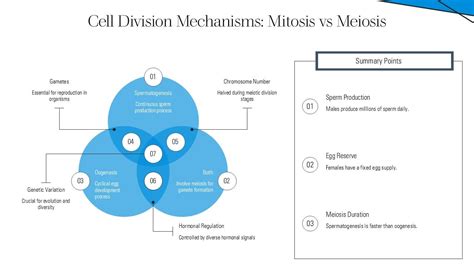 Spermatogenesis Vs Oogenesis Introduction Ppt Powerpoint At