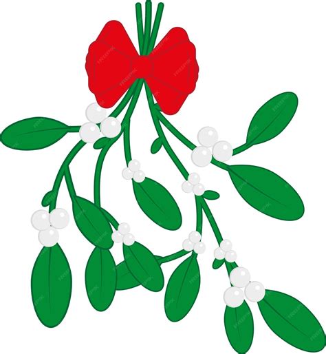 Premium Vector Mistletoe