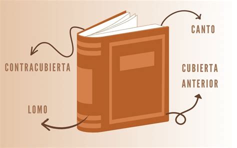Cuales Son Las Partes Del Libro