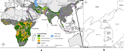 Leopard Range Map Effects Of Shepherds And Dogs On Livestock