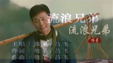 Blues口琴演奏陈星经典歌曲《流浪兄弟》口琴 经典老歌 流浪兄弟陈星 Youtube