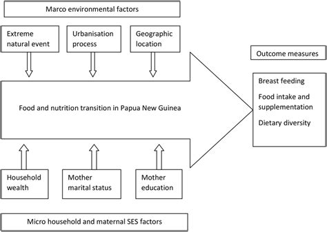 Conceptual Framework For Analyzing Breastfeeding Food Intake And Download Scientific