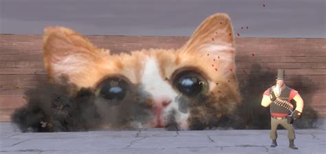 Grafics Cat Tf2
