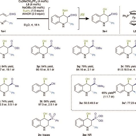 Sequential 1 4 Borylation Mannich Cyclization Reaction Was Conducted Download Scientific