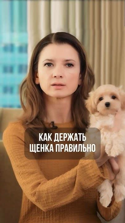 Как держать щенка правильно Youtube