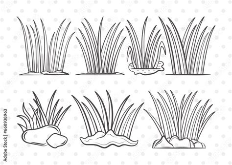 Grass Clipart Svg Cut File Plants Svg Lawn Grass Svg Tall Grass