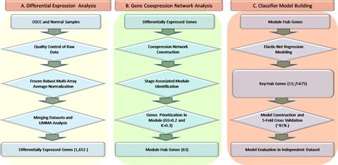 The Steps Involved In Systems Level Analysis Of Data On Oral Squamous