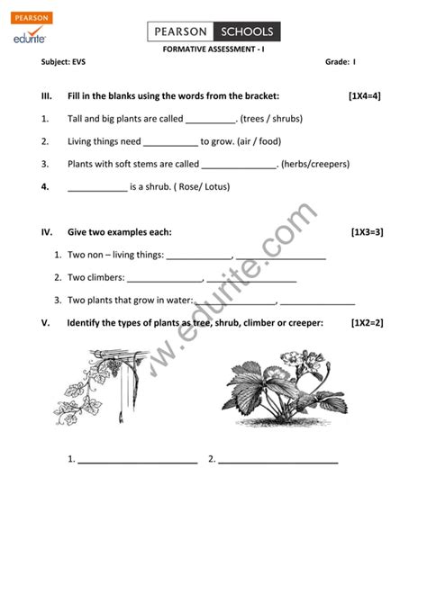 Class 1 Cbse Evs Question Paper Pdf Landscaping Home And Garden