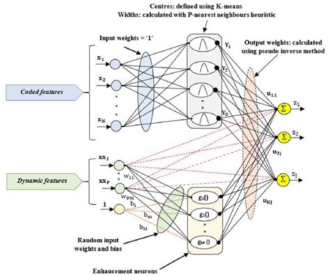 The Structure Of Proposed Hybrid Neural Classifier Rbfnn Rvfln Download Scientific Diagram