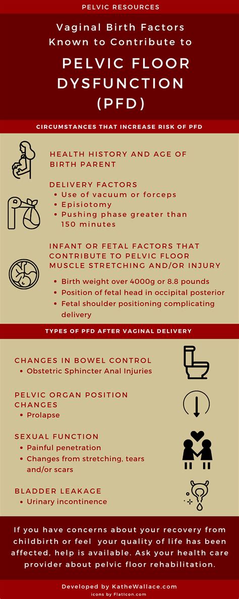 Complimentary Pelvic Health Information Kathe Wallace Pt Pelvic