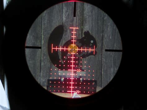 The Differences Between The Mil Hash And The Moa Field Target Scopes By Sightron Connecticut