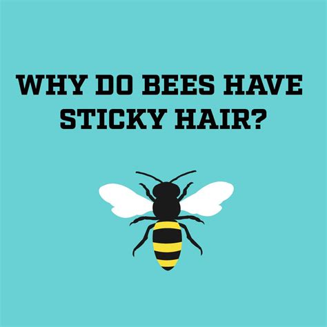 Dad Jokes Are The Bees Knees Sport Clips Haircuts Facebook