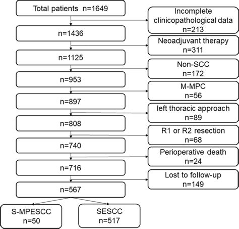 Flowchart Summarizing Study Selection Download Scientific Diagram