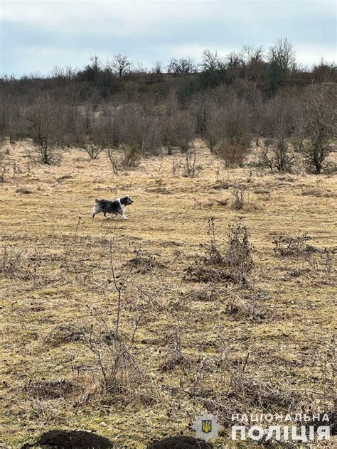 Поліція 🫶Як шукали трирічного Остапа Майданюка з Могилів Подільщини ️Дитину забрала до себе