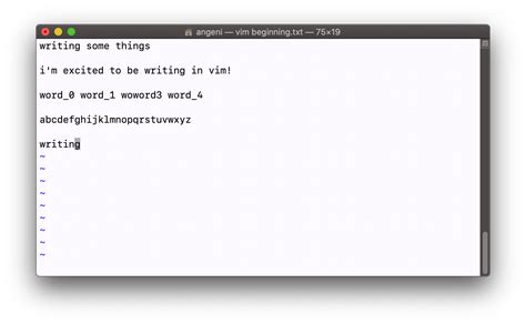 Beginners Guide To Vim The Basics