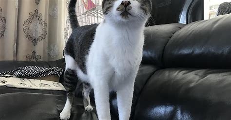 Grumpy Album On Imgur