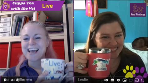 Cuppa Tea With The Vet Leslie Eide Animal Physiotherapy Ltd