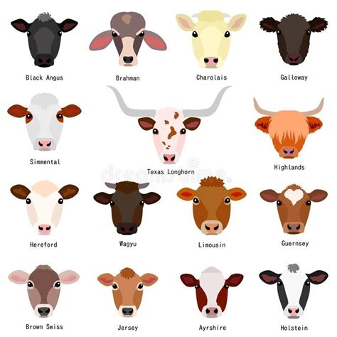Cow Farm Name List Farm House