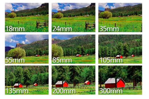 Camera Handling Exam Flashcards Quizlet