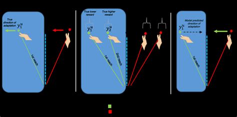 Error Based Learning Humans A Model Free Rl B And Model Based Rl