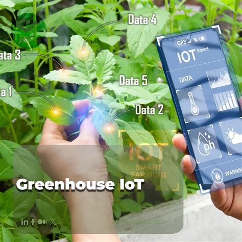 Greenhouse Iot Solutions Smart And Efficient Farming