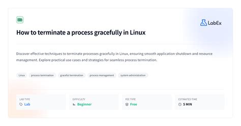 How To Terminate A Process Gracefully In Linux Labex